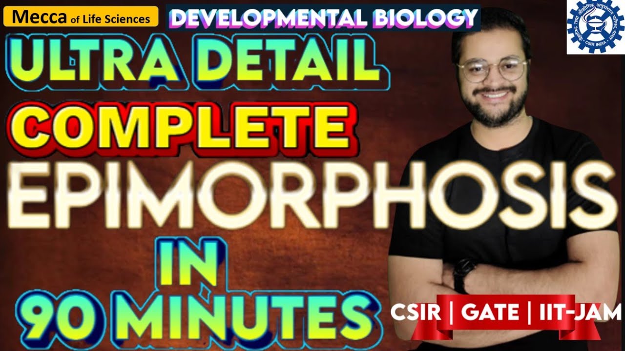 Epimorphosis in 90 minutes | Full complete session | Developmental ...