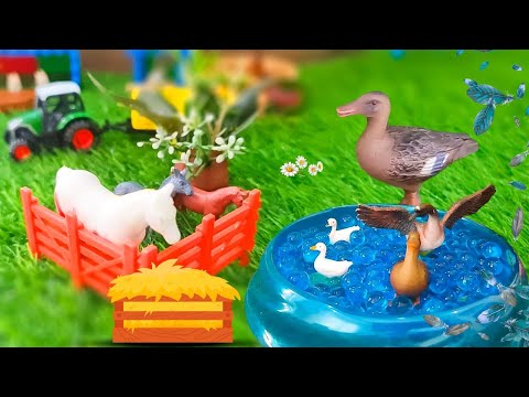 SEVİMLİ ÇİFTLİK HAYVANLARI İLE TANIŞMAYA HAZIR MISINIZ? / Pella Toy Tv' de hayvanları tanıyoruz..