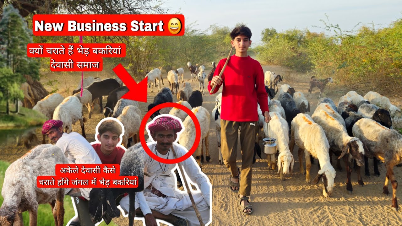 रबारी समाज का इतिहास || क्यों चराते है देवासी समाज आज भी भेड–बकरियां 🤔 ...