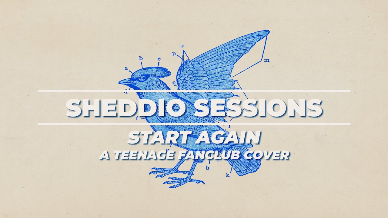 Matthew Carlson - Start Again (Teenage Fanclub Cover) - Sheddio Session ...