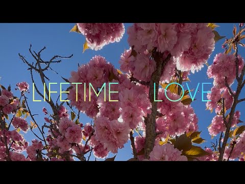 LIFETIME LOVE  (karaoke lyrics)