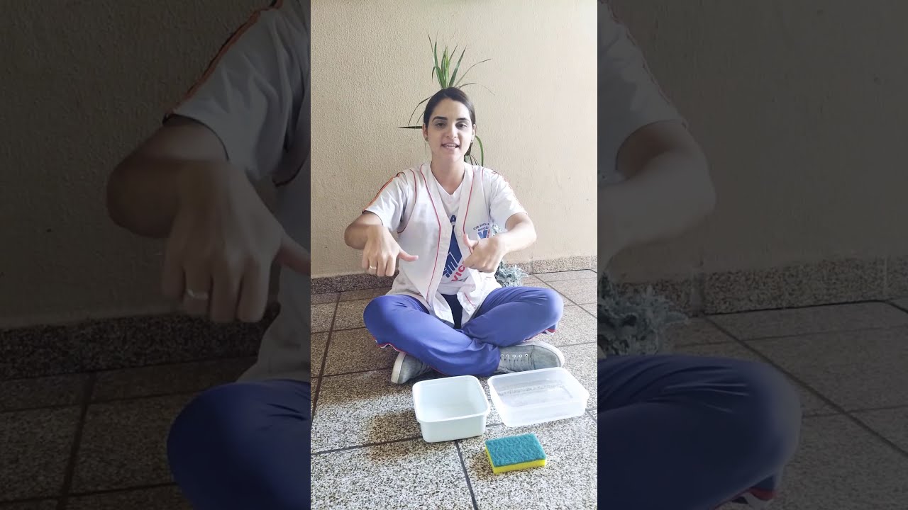 Conceito de Cheio e Vazio - Educação Infantil 3 - YouTube