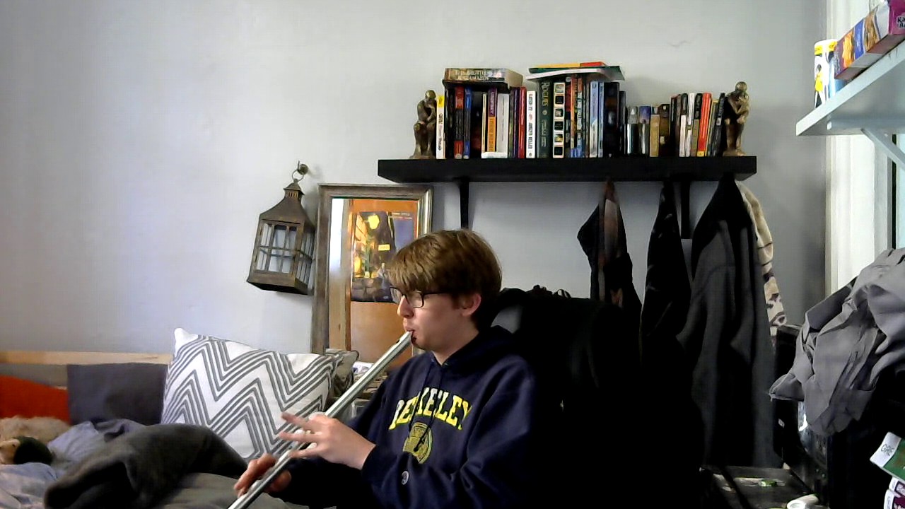 Tickle Test low d whistle - YouTube