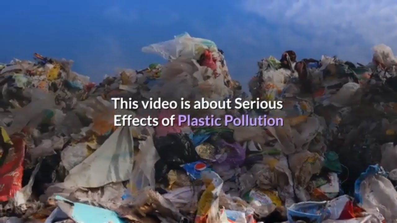 How Plastic Pollution Effects on Environment | Effects of Plastic ...