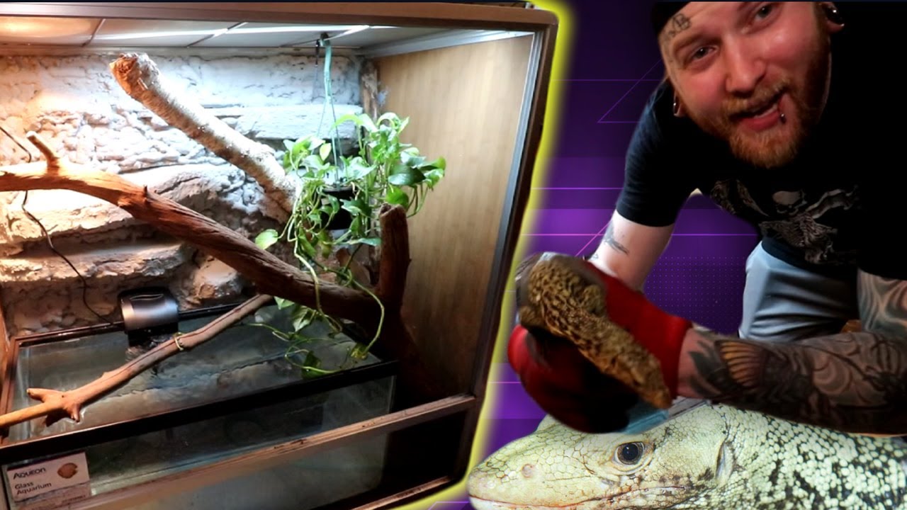 We Built The Best Quince Monitor Enclosure! Here's How We Did It - YouTube