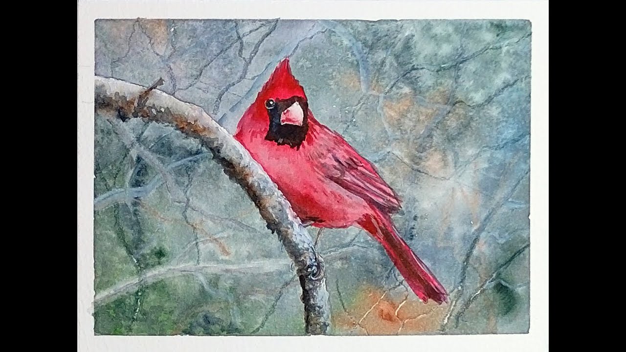 Red Cardinal on Branch Watercolor Tutorial - YouTube