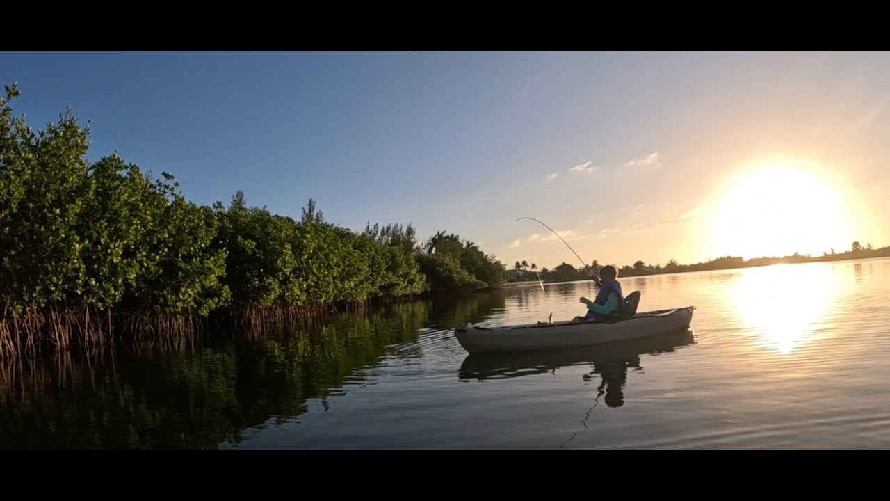 Kayak fishing in Marathon, Florida canals (Multi-Species evening!) # ...