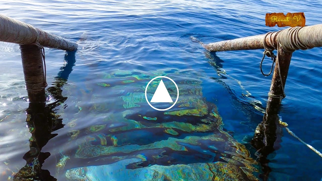 Explorez la mer rouge comme si vous y étiez - YouTube