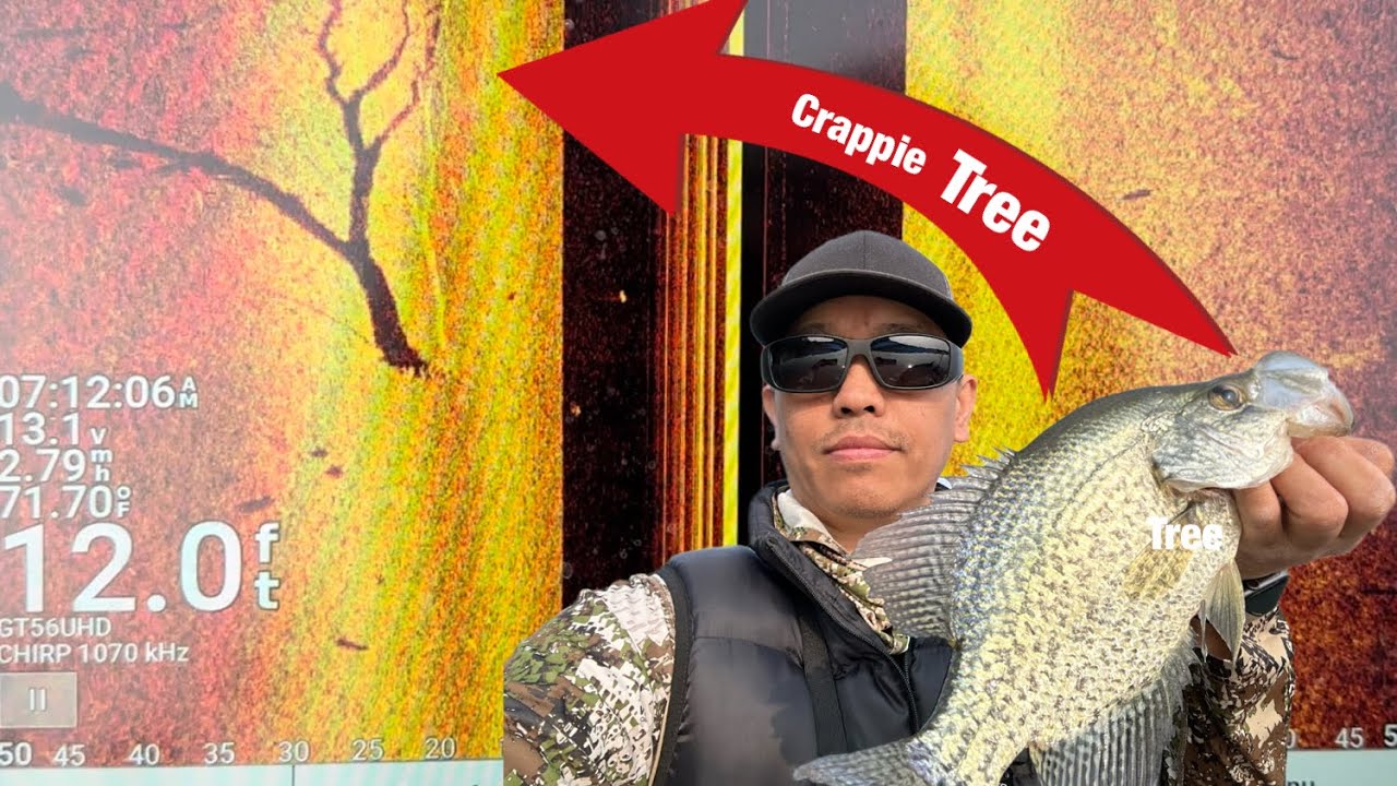 How to find summer crappie in shallow waters with Garmin SideVu (side ...