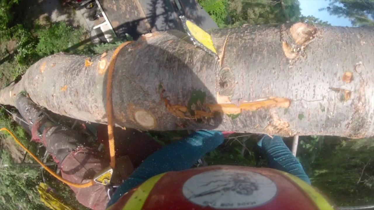 Zipping tops, chunk and zip 3 firs - YouTube