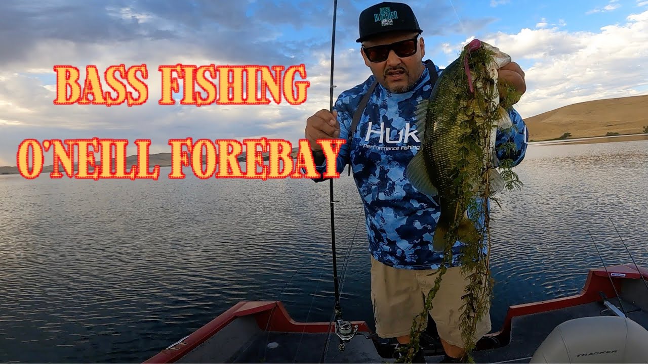 ONEILL FOREBAY BASS FISHING - YouTube