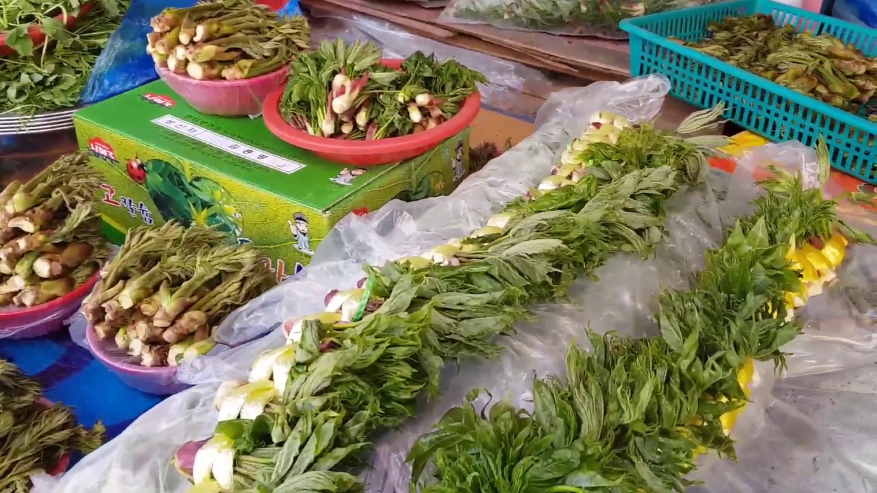 원주 오일장 생 간제미 Winju Oifield Gemi - YouTube