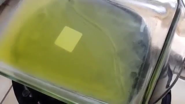 How To Make Shatter BHO ( Vacum Purge) Cannabis Cup Style - YouTube