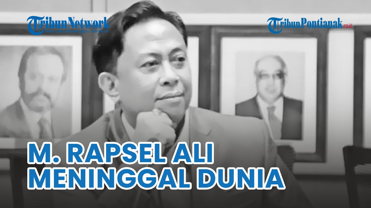 Profil Muhammad Rapsel Ali,Anggota DPR dan Menantu Wapres Maruf Amin ...