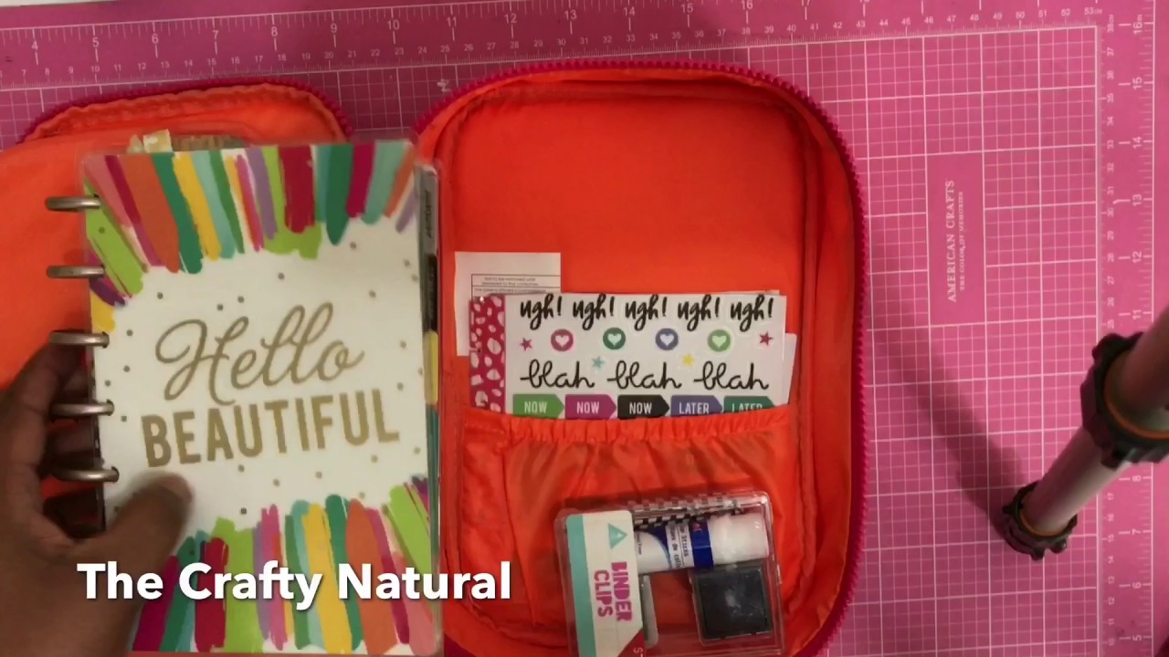 HAPPY PLANNER PENCASE/ MINI PLANNER BAG & Whats in it?!! - YouTube