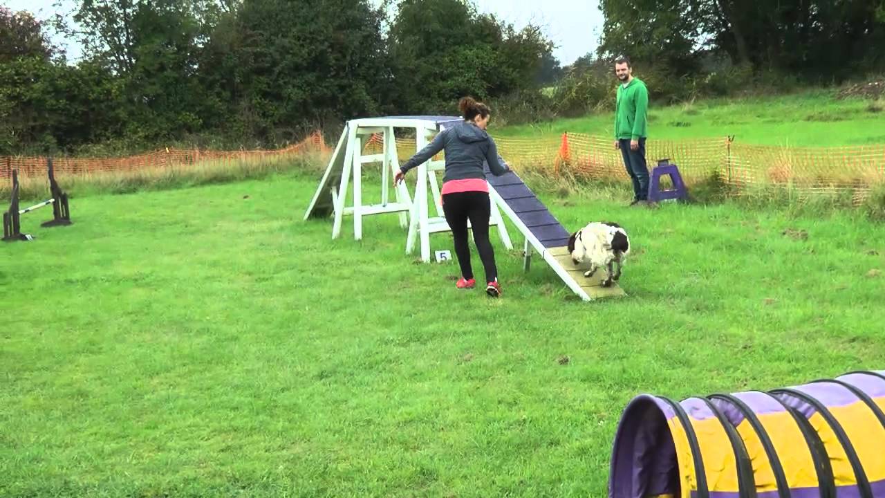 Kelly Woodman at A-Sit agility - YouTube