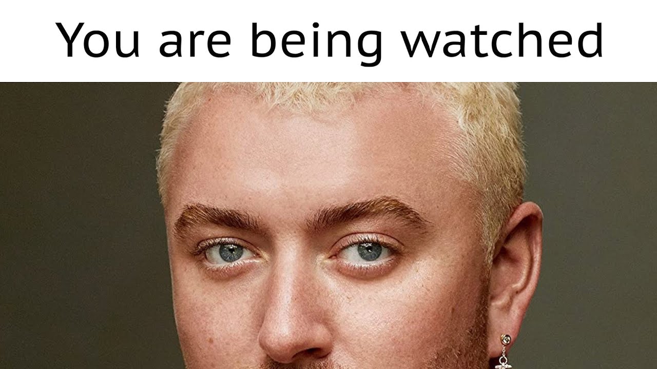 Do not make any sudden movements || BTiM - YouTube