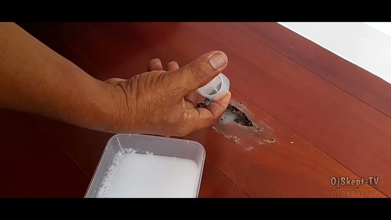 UBEC TRIP pest control treatment - YouTube