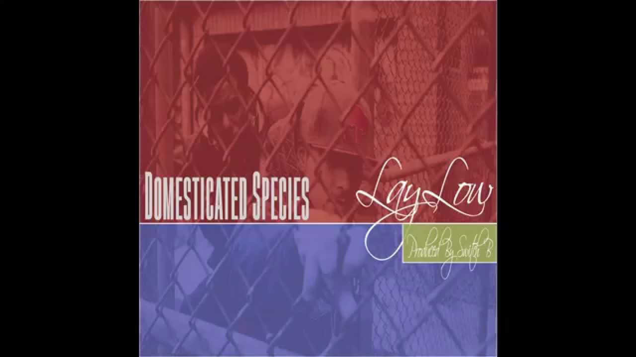 LAY LOW - Domesticated Species (Full Album) prod. Switch B - YouTube