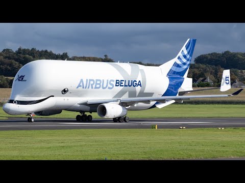 Extremely rare Airbus Beluga XL Divert departing Prestwick Airport!