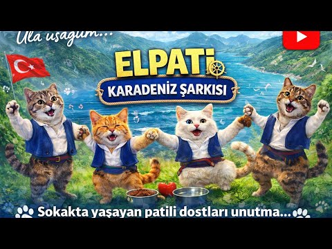 Kediler Horon Tepiyor (Elpati Karadeniz V.1) | Sokak Canları  İçin Elpati  Şarkıları