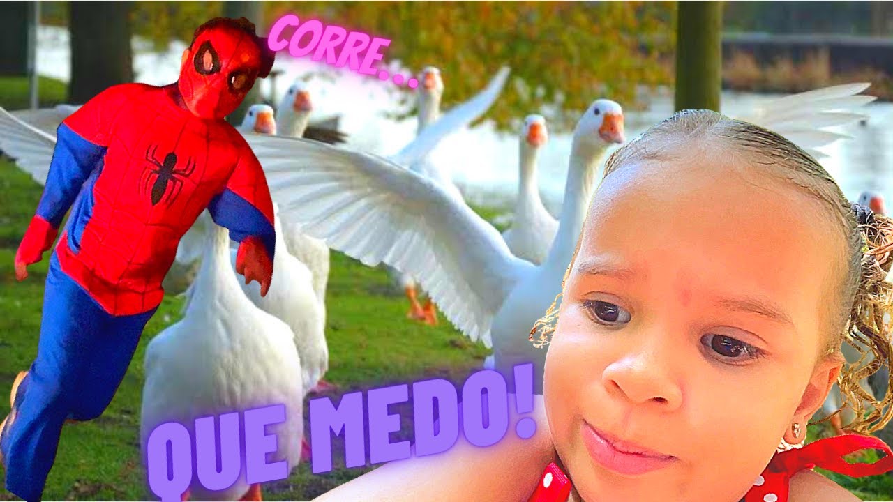 Ataque de PATOS no parque - YouTube