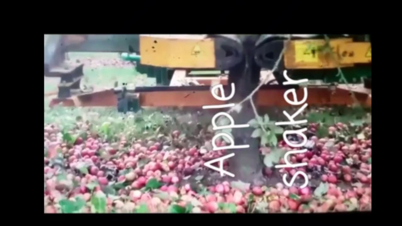 Apple shaker ) more videos on the way please like and subscribe🚜 - YouTube