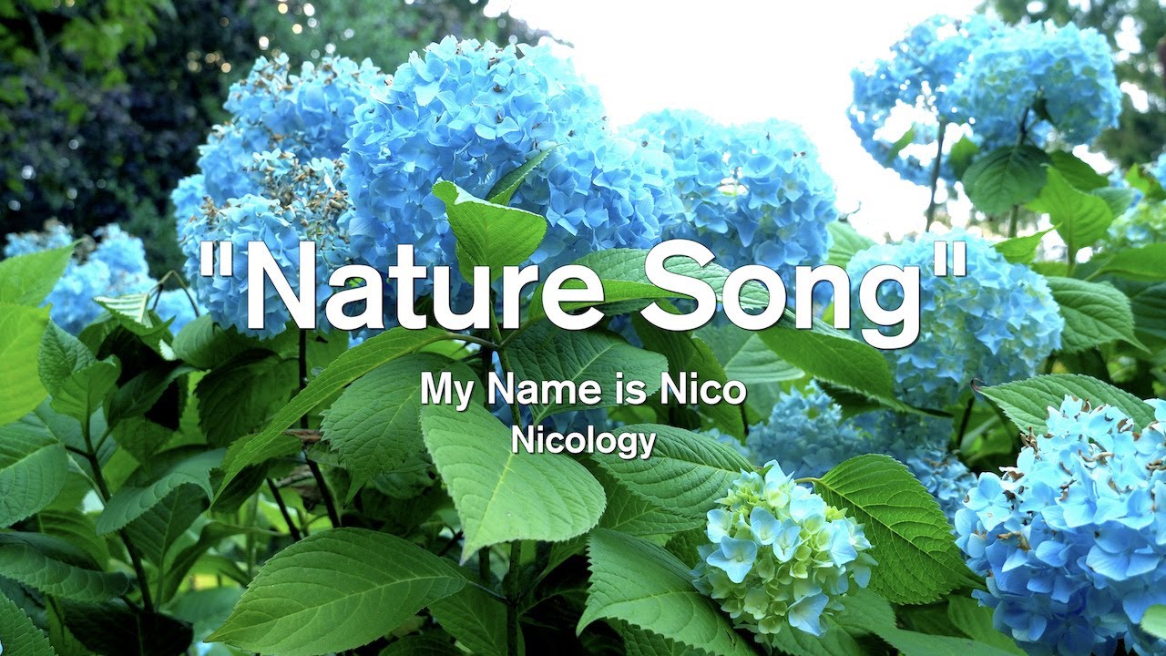 Nature Song (Lyric Video) - YouTube