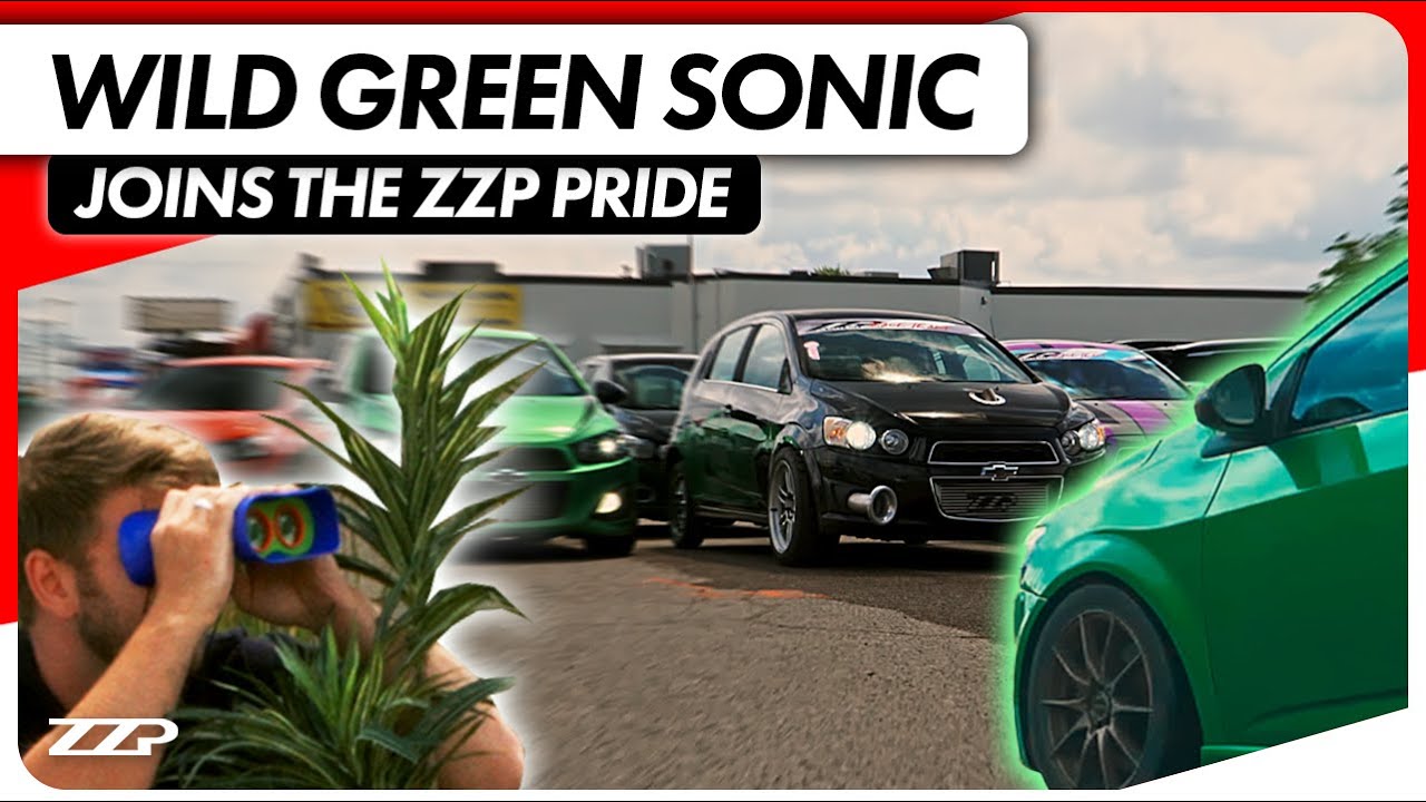 Another Sonic Joins the ZZP "Pride" - YouTube