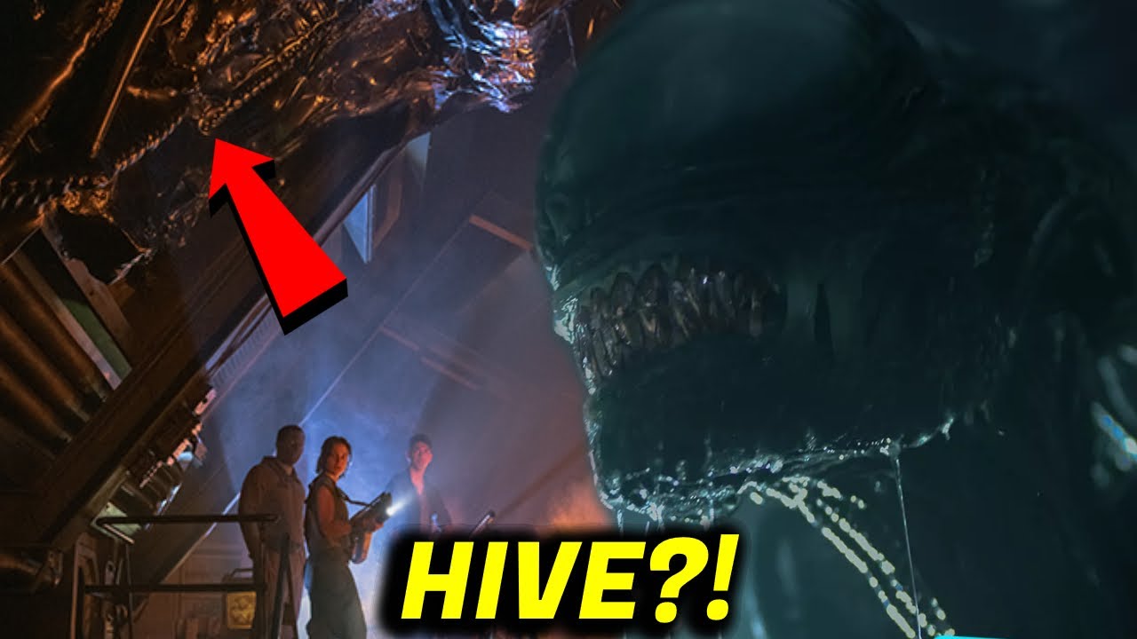 Alien Romulus Xenomorph HIVE Revealed In New Image?! - YouTube