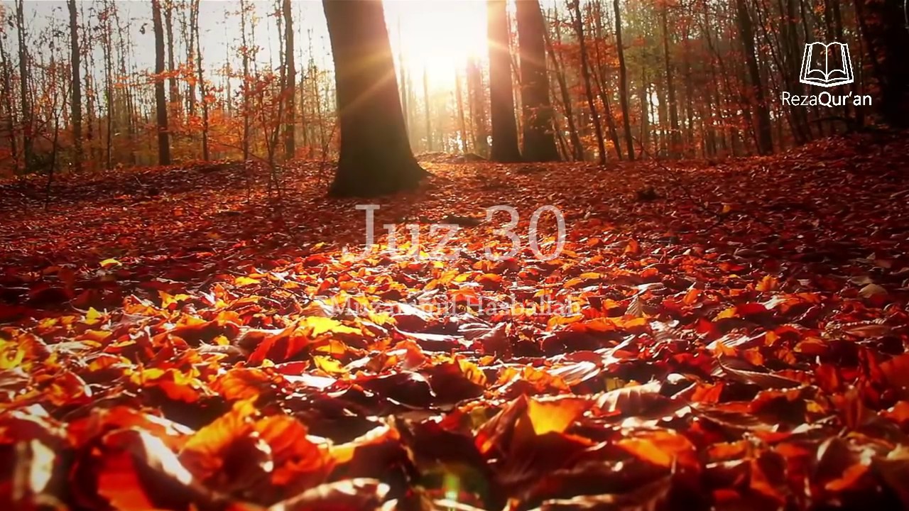Juz 30 - Muzammil Hasballah - YouTube