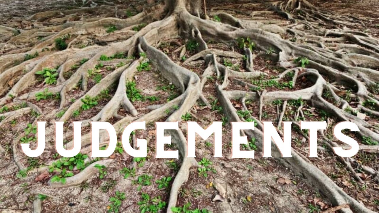 Bitter Root Judgments - YouTube