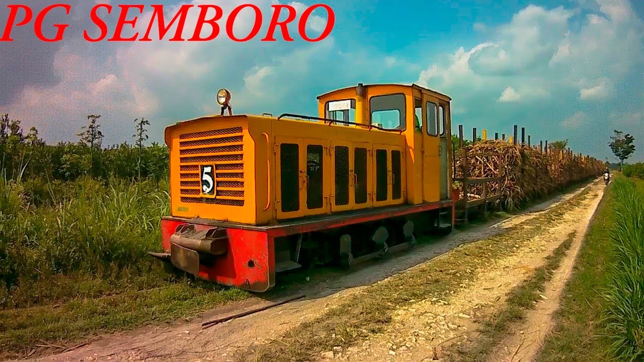 Loko Semboro 5 menarik lori panjang | Sumberejo - PG Semboro - YouTube