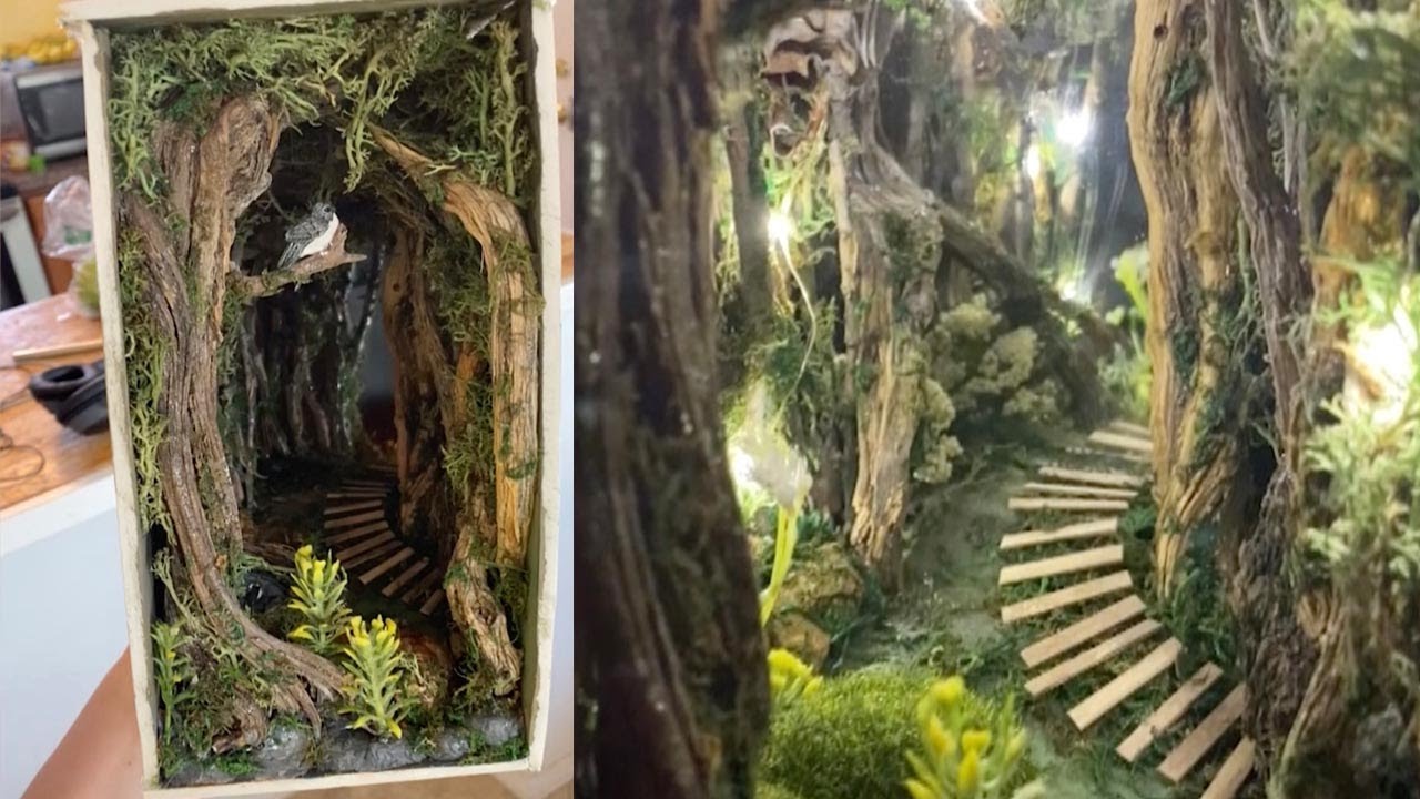 Filmmaker Creates Amazing Enchanted Forest Book Nook - YouTube