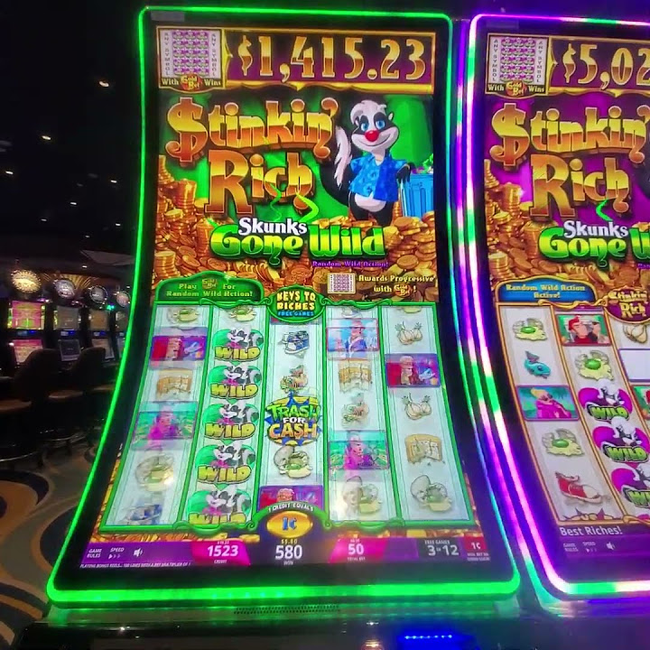 This skunk just keeps showing love!! Free spins #shorts #slots - YouTube