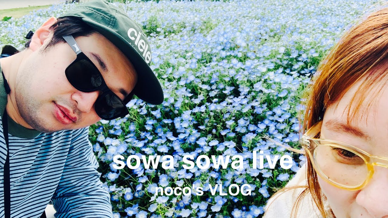 sowa sowa live - YouTube