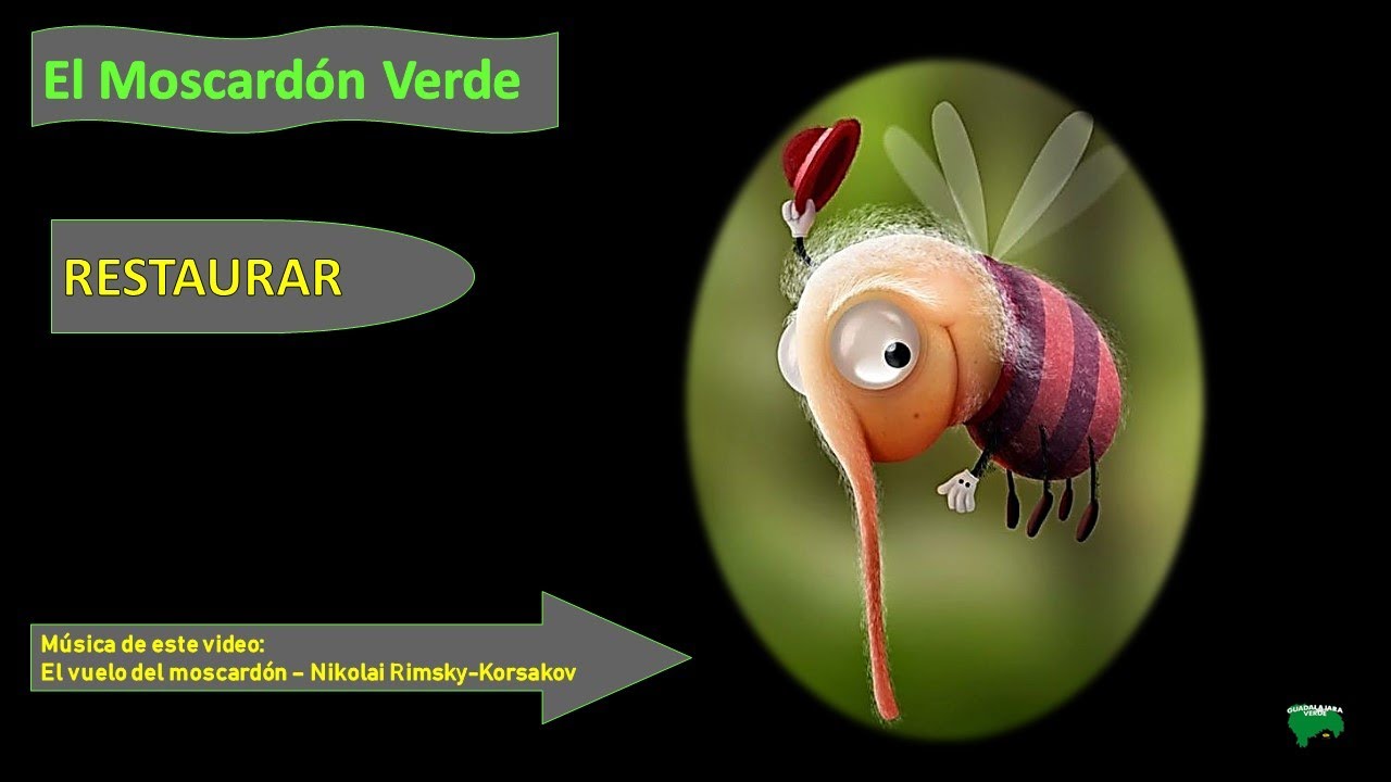 El Moscardón Verde : Restaurar Nº27 curso 2024 25 - YouTube