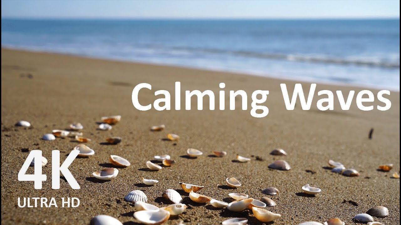 Calming Beach Waves | 4K ULTRA HD | Relax, Sea, Shells, Ocean, Nature ...