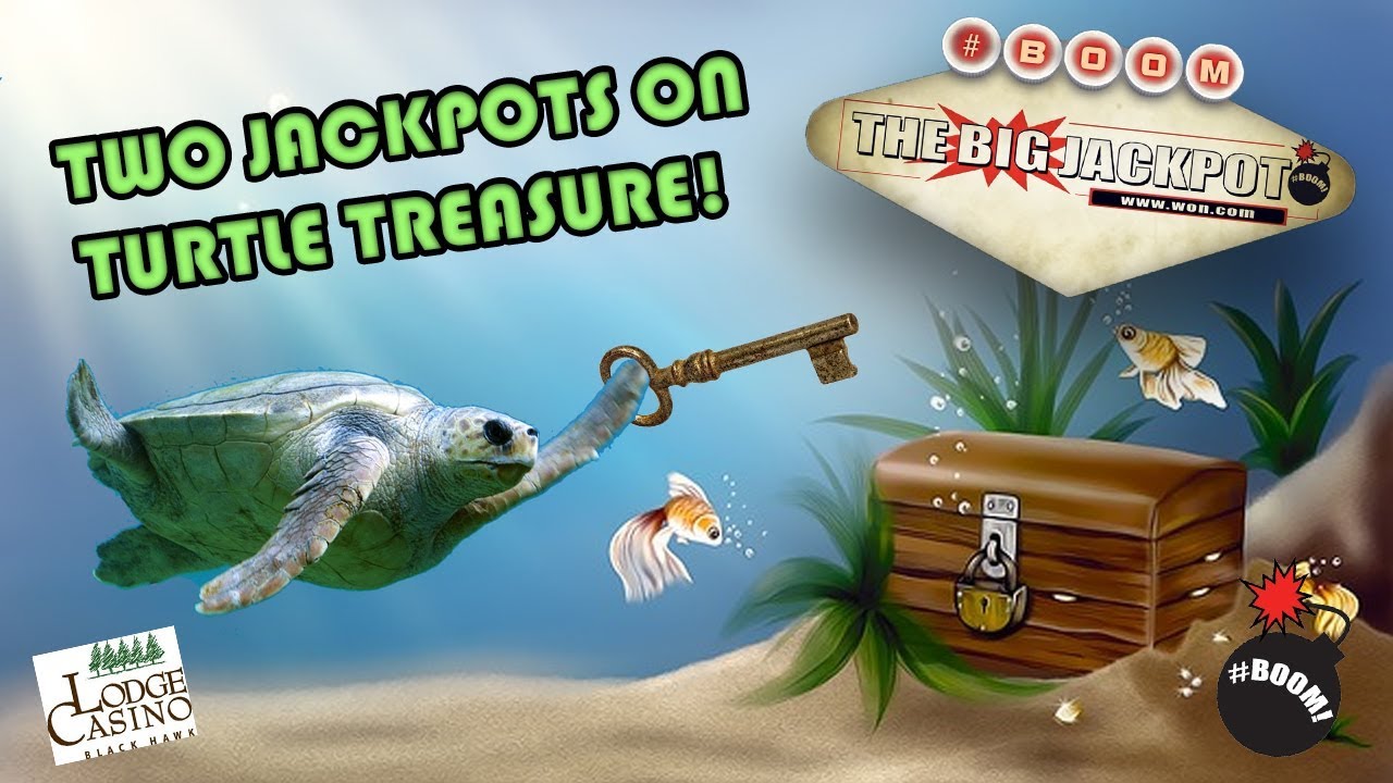 🐢 The Raja Has Good Luck on Turtle Treasure, BOOM! 💣 - YouTube