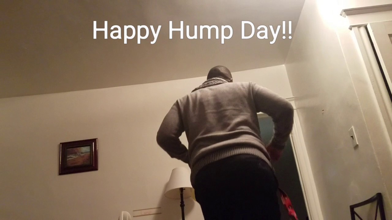 Hump Day Dance - YouTube