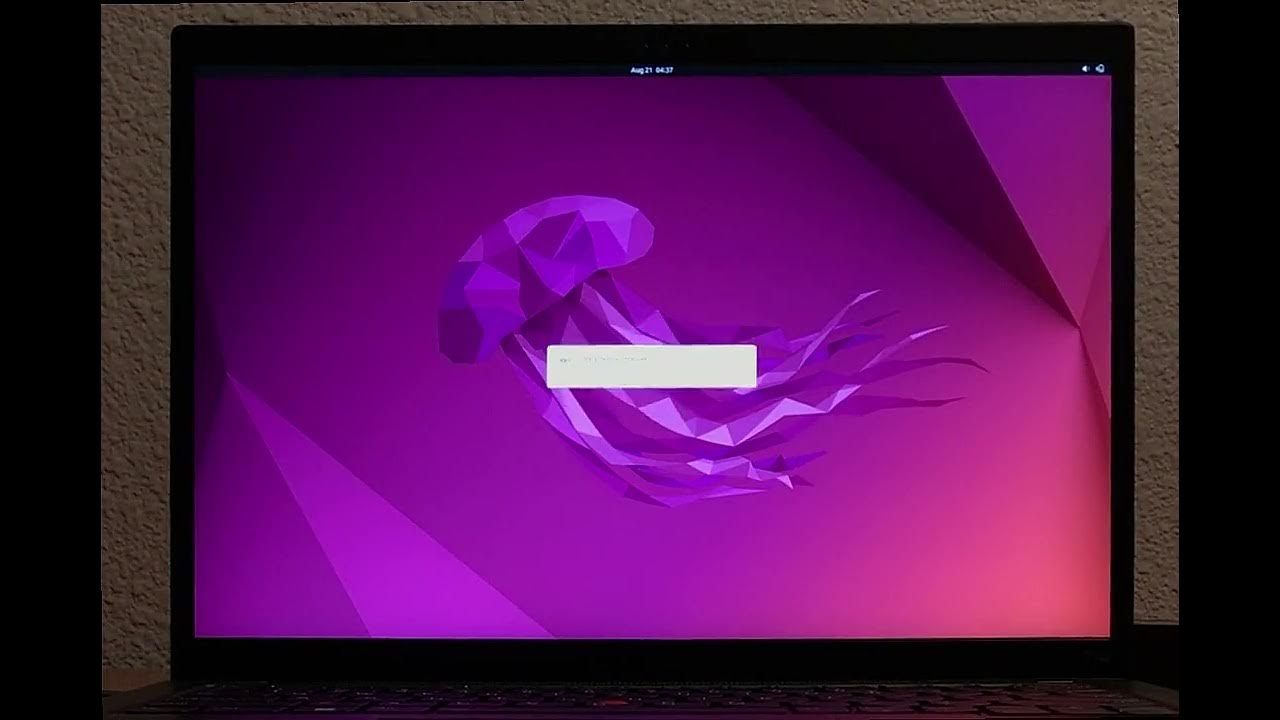 Thinkpad T14s Gen 4 AMD preinstalled Ubuntu screen flickering - YouTube