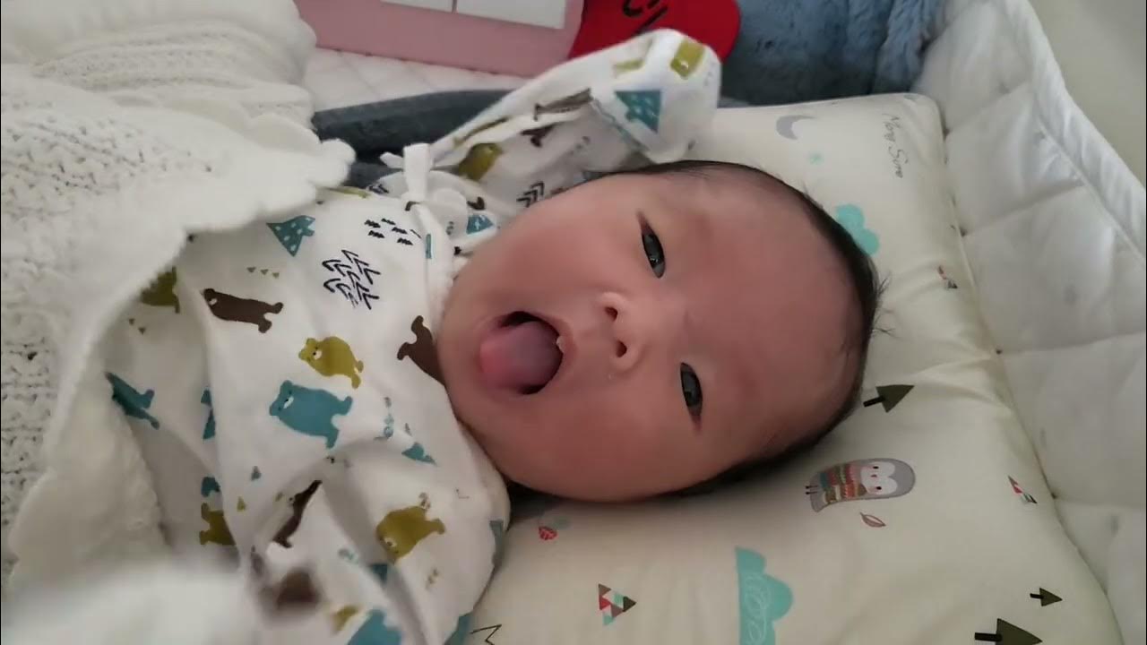 31일차 갑자기 춤추는 이나 ㅋ Youtube