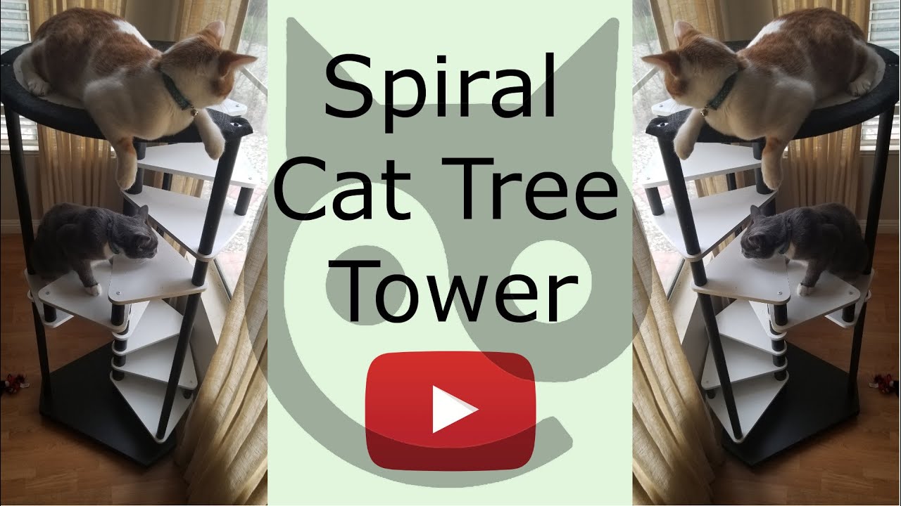 Spiral Cat Tree Tower - Gambino Cats Play on Kitty Furniture - YouTube