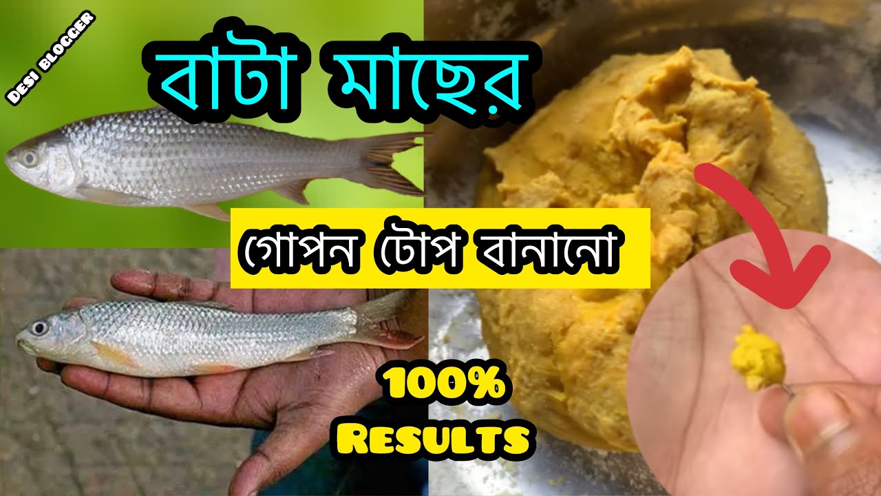 বাটা মাছের টোপ ..bata macher top..bata macher char - YouTube