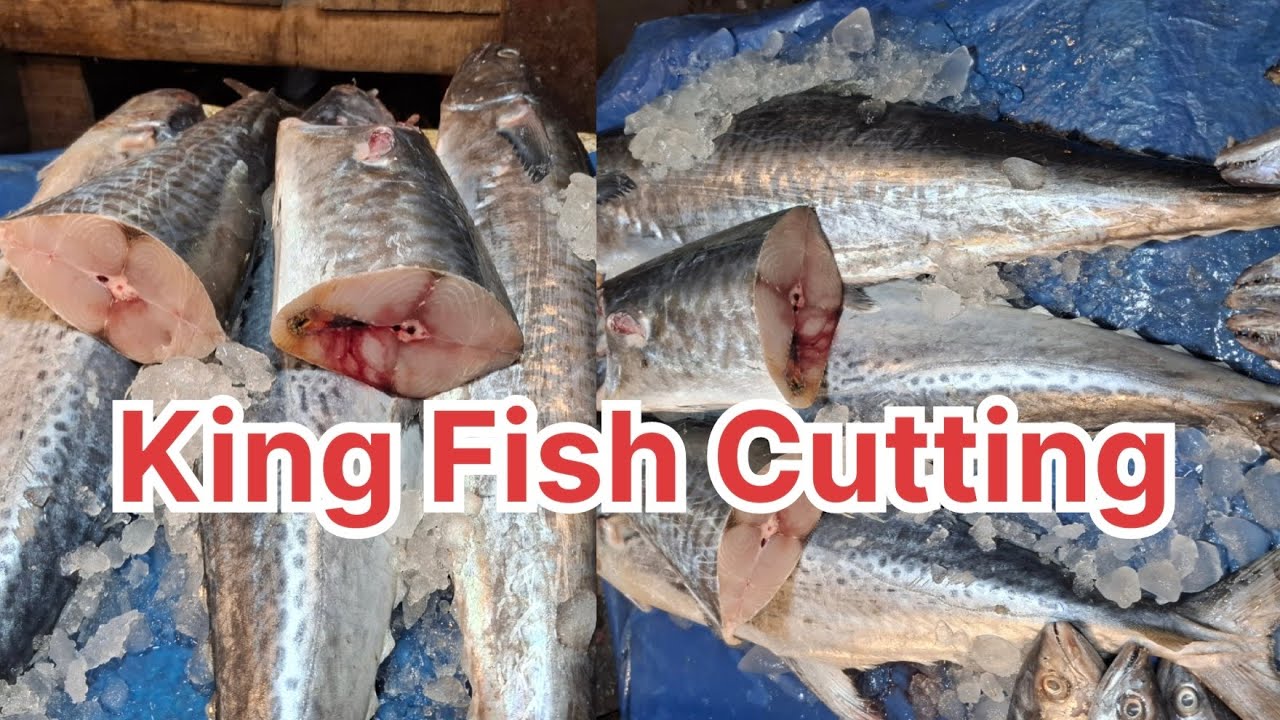 Amazing King Fish Cutting | New Fish Cutting Vedio🐟🐟🐟 - YouTube