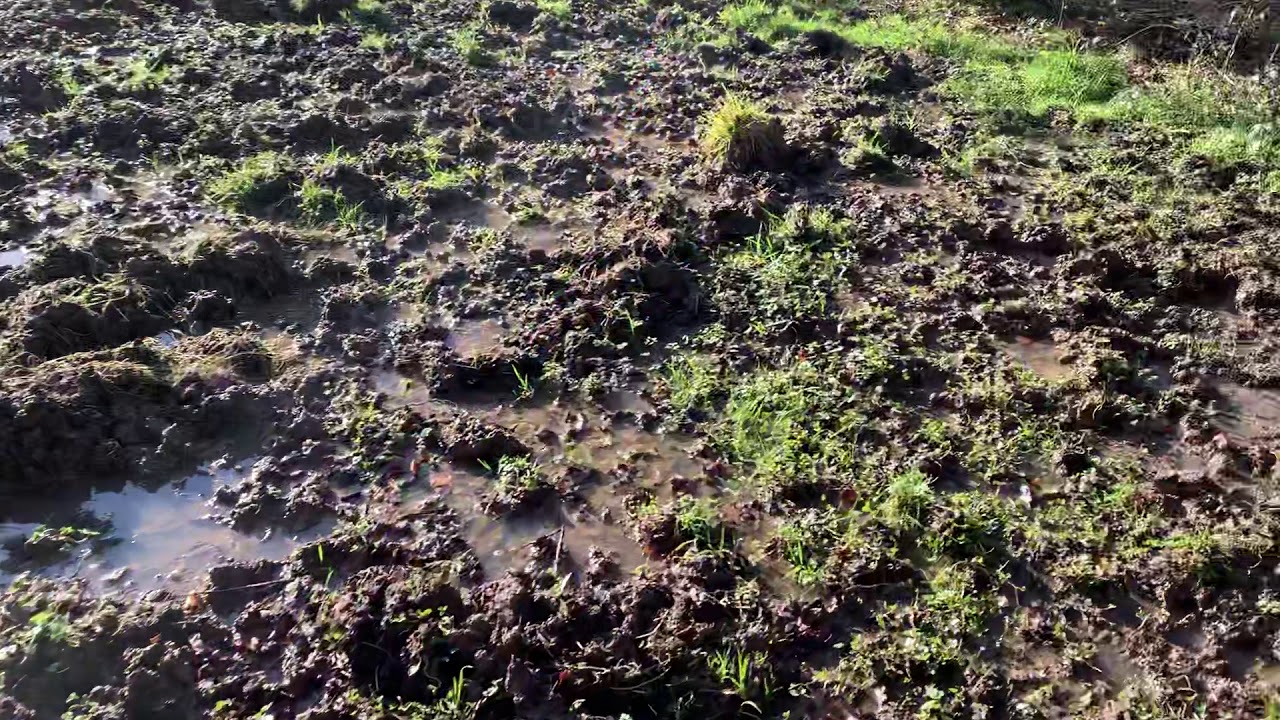 Quagmire of quagmires!!! - YouTube