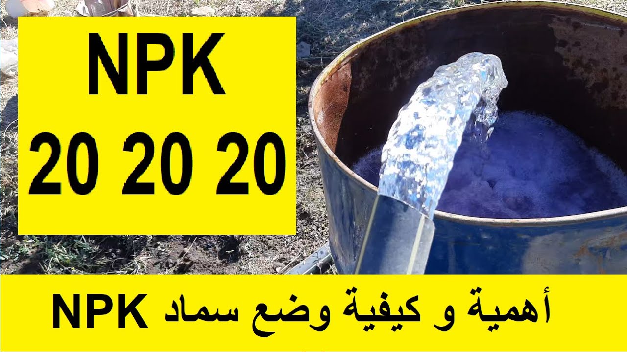 كيفية وضع سماد NPK 202020 للأشجار المثمرة و موعد استعماله و اهمية npk - YouTube