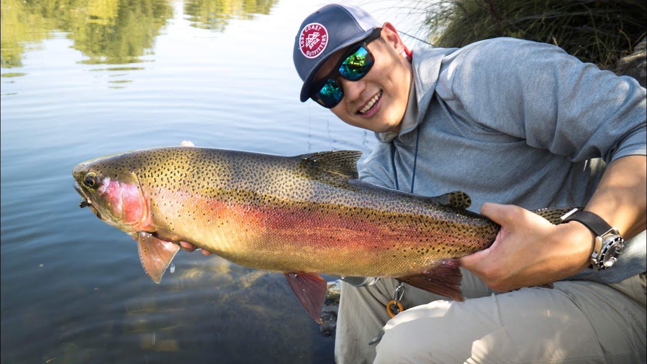 Trout fishing in California - YouTube