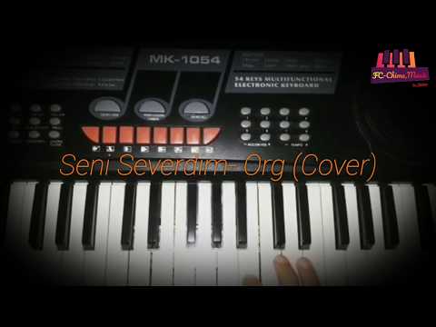 Seni severdim - Org (Cover)