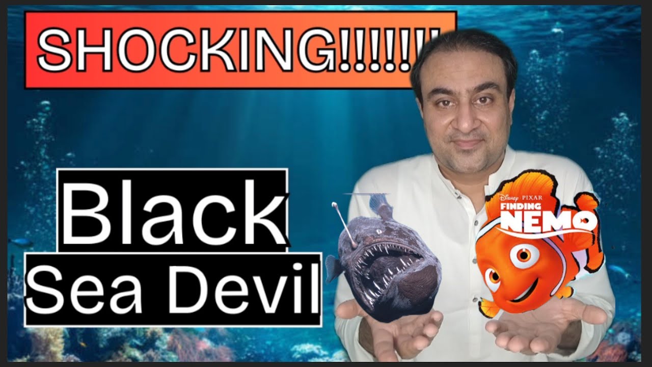 Black Sea Devil Fish in Finding Nemo Movie #blackseadevil #findingnemo ...
